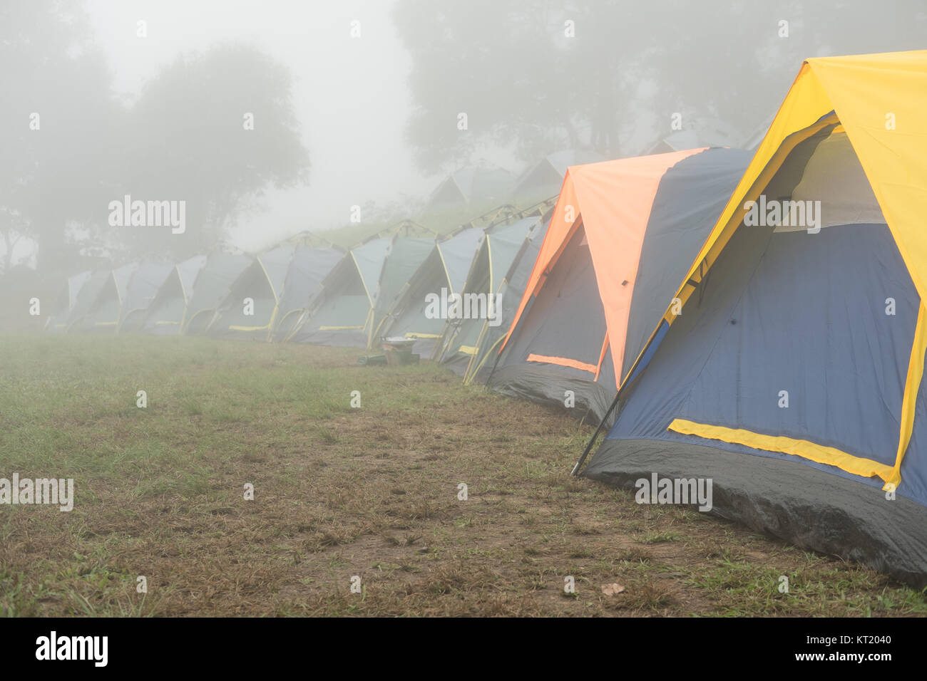 tourist tent in mist & fog. camping in pine tree forest. travel ...