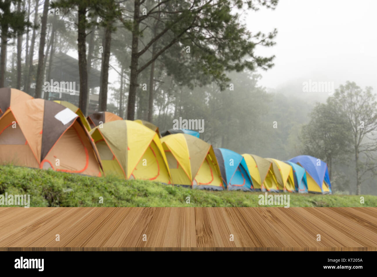 tourist tent in mist & fog. camping in pine tree forest. travel ...