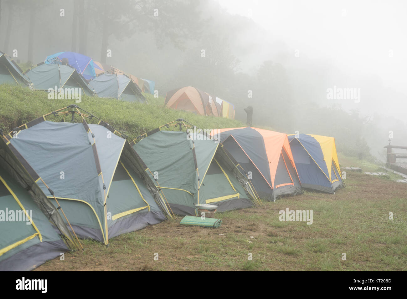 tourist tent in mist & fog. camping in pine tree forest. travel ...