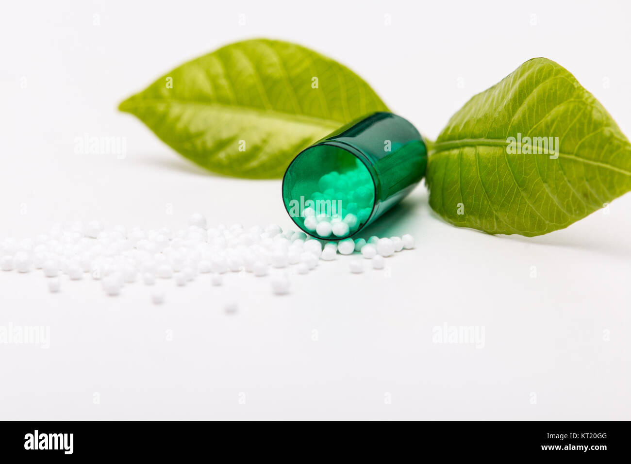 Open green capsule with green leaf Stock Photo - Alamy