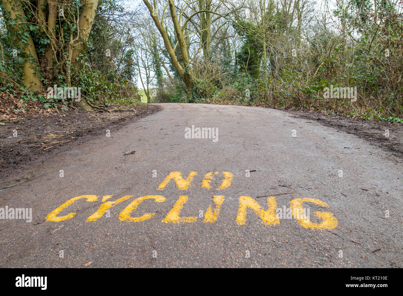 No cycling path in the woods Stock Photo - Alamy