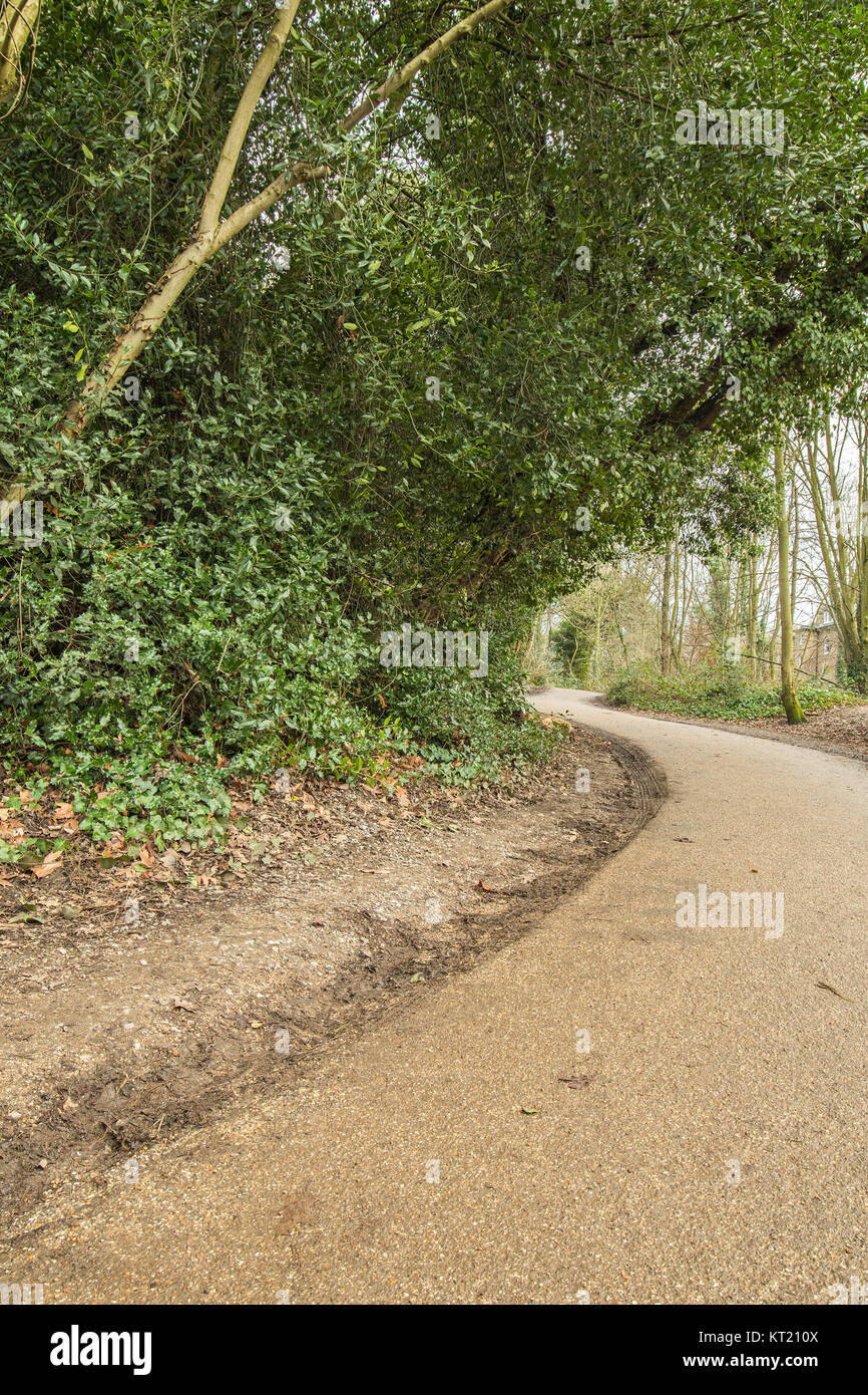 walking path made of old tar in a park Stock Photo - Alamy