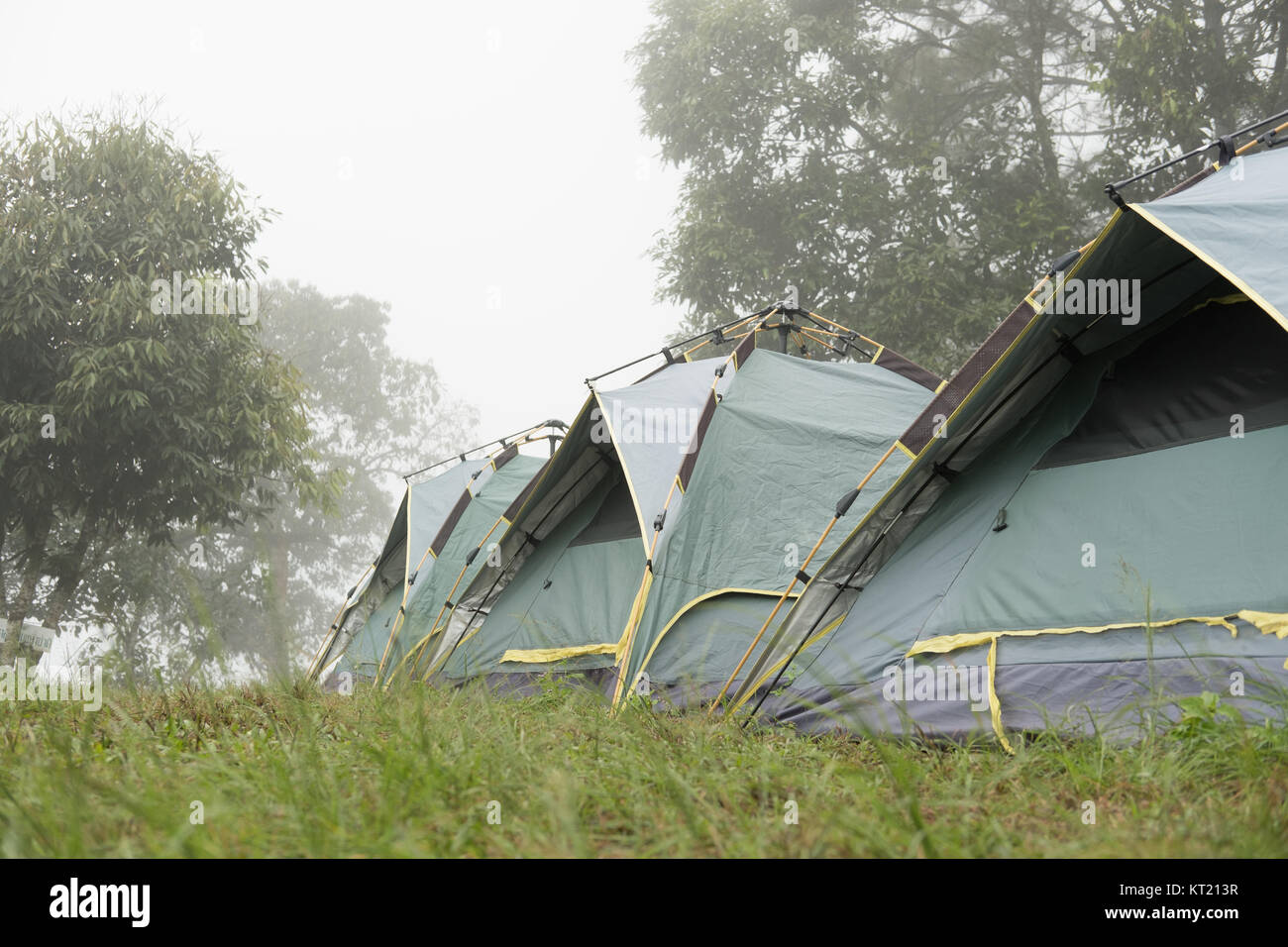 tourist tent in mist & fog. camping in pine tree forest. travel ...