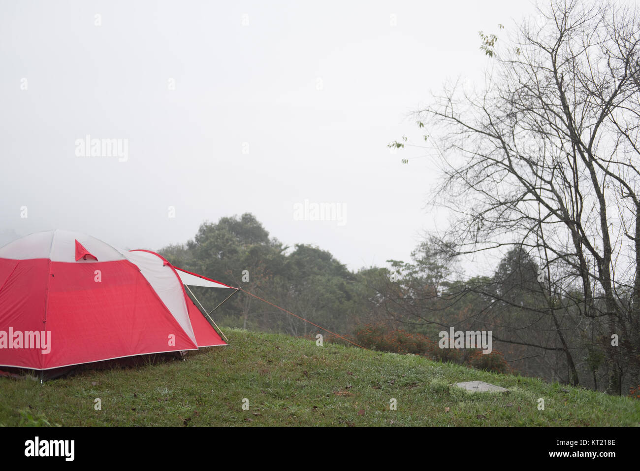 tourist tent in mist and fog. camping in forest. travel, vacation ...