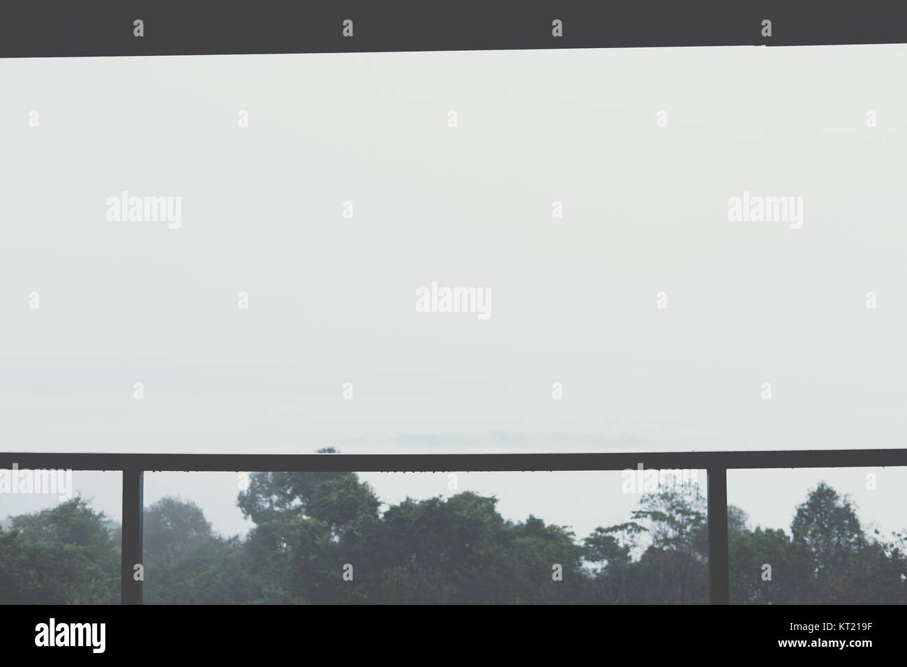 balcony in mist in morning. terrace in fog. banister in forest Stock ...
