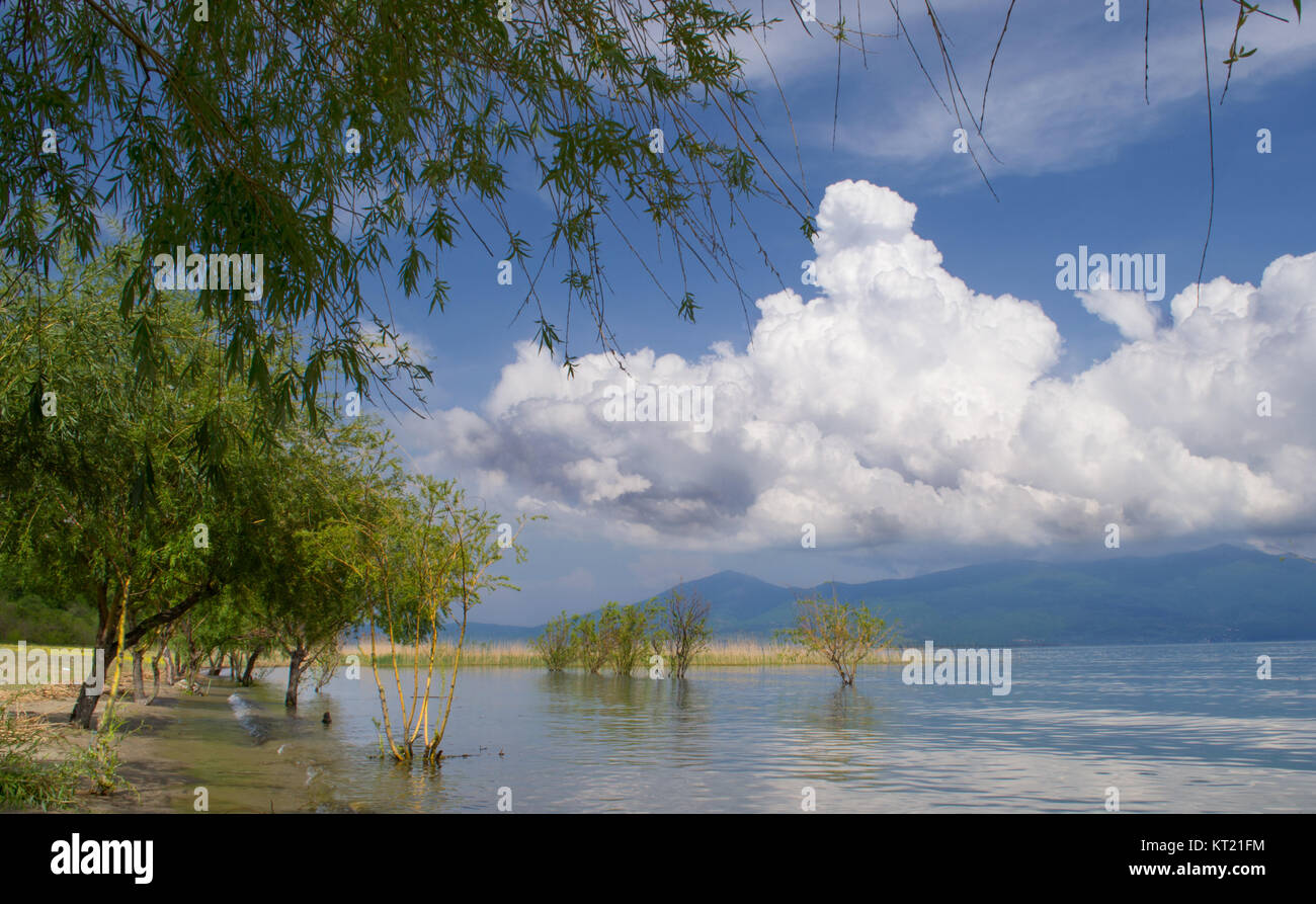 Idilic forest hi-res stock photography and images - Alamy