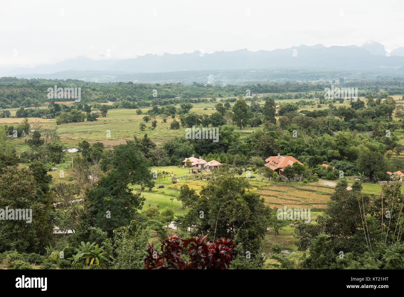 rural landscape in Thailand. forest & mountain in morning. nature view ...
