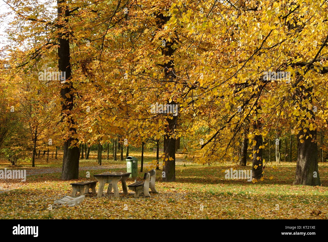 Park in fall or autumn Stock Photo - Alamy