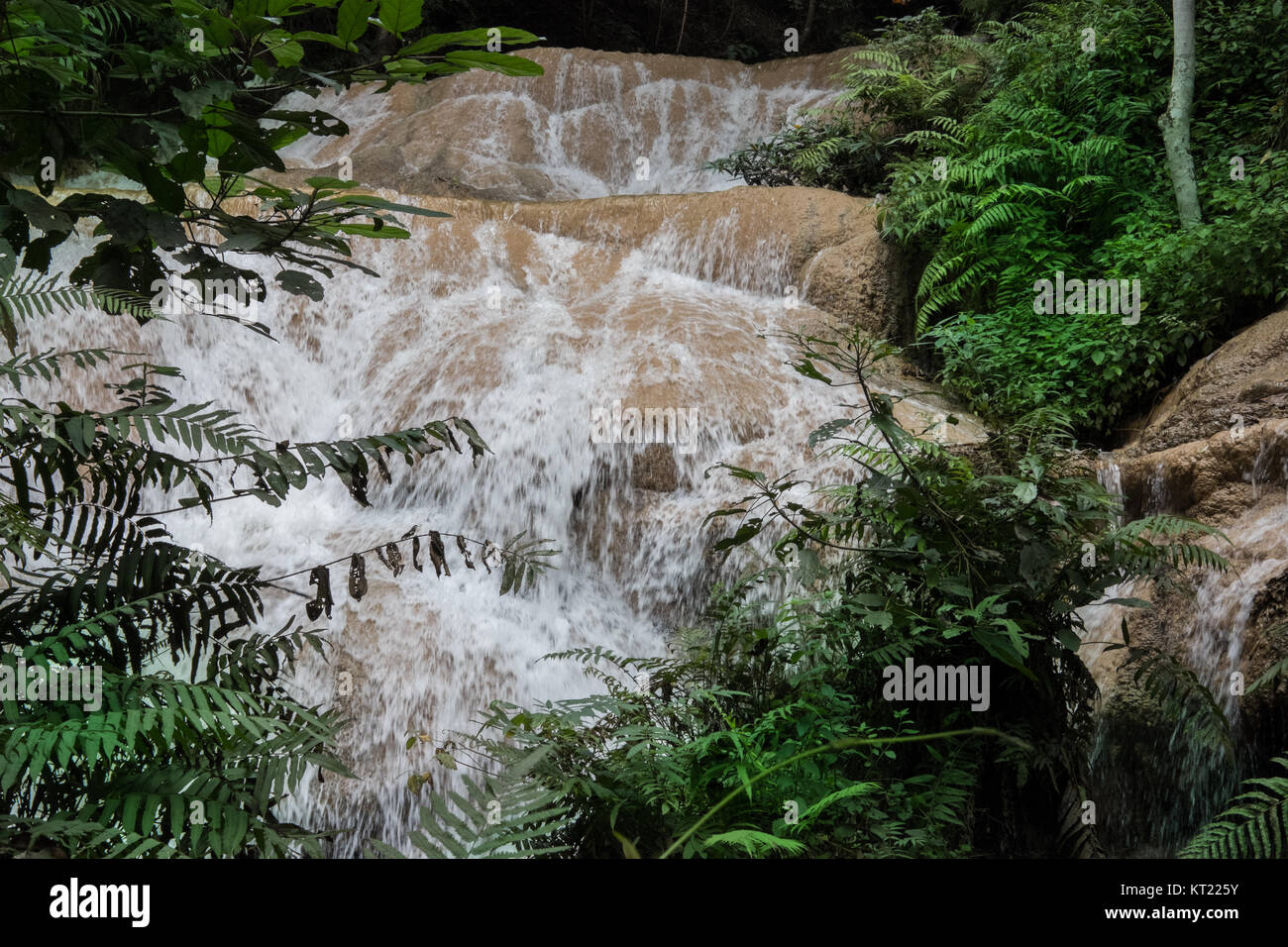 waterfall in rainforest. cascade in forest. water flowing in tropical ...