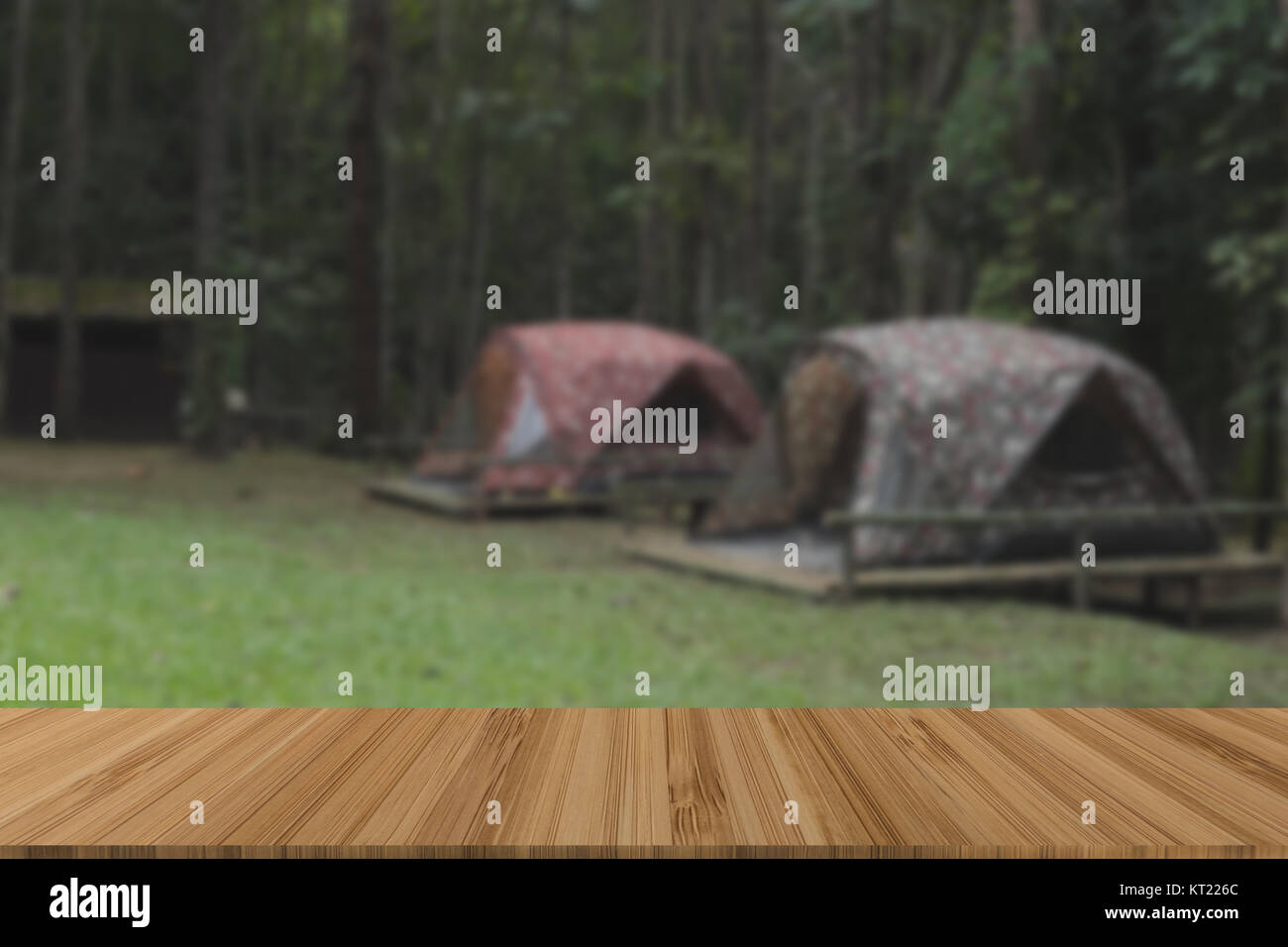 tourist tent on lawn yard. camping in forest. travel, vacation, nature ...