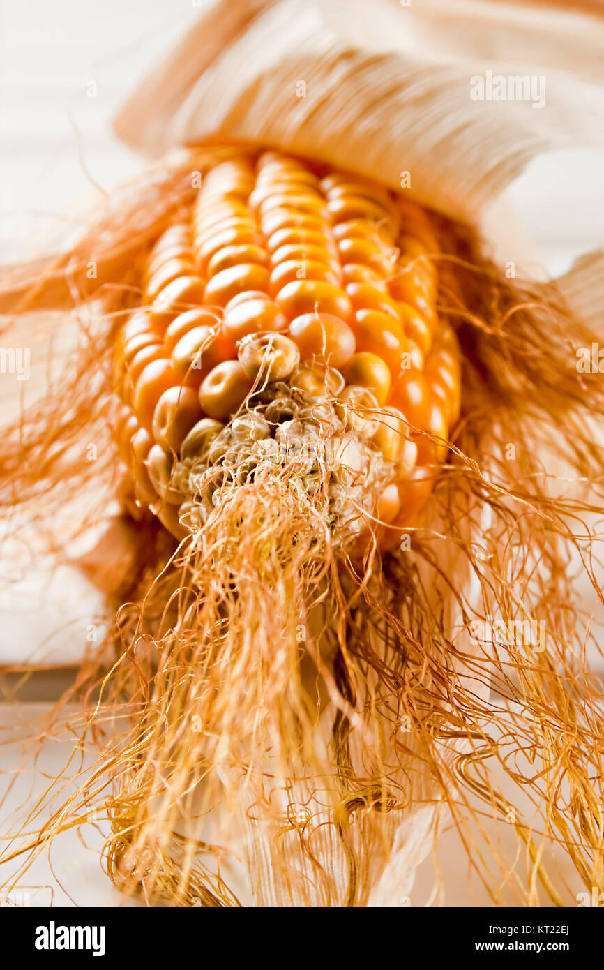 Cob close up Stock Photo - Alamy