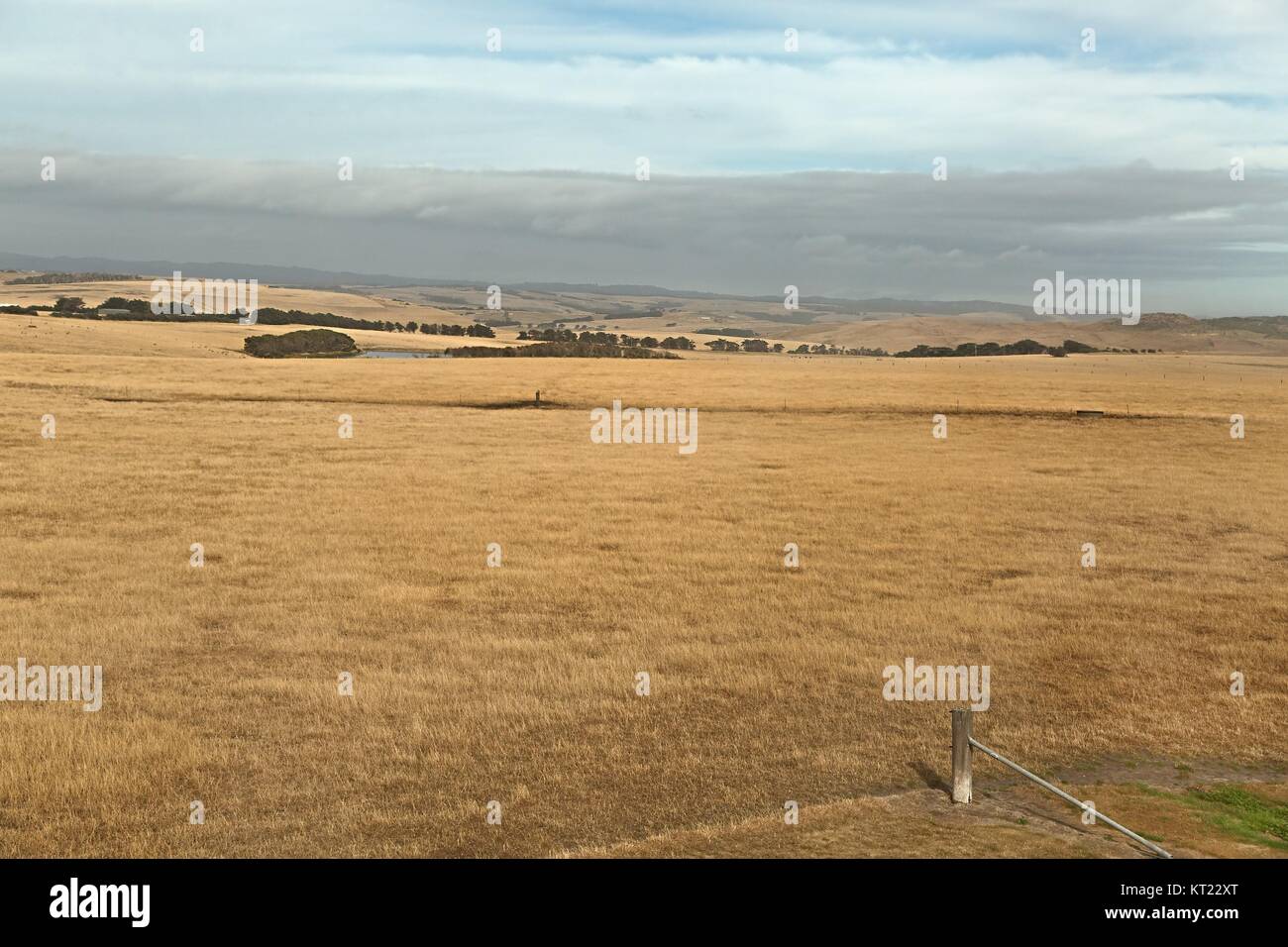 Fields of Australian agricultural landscape Stock Photo - Alamy