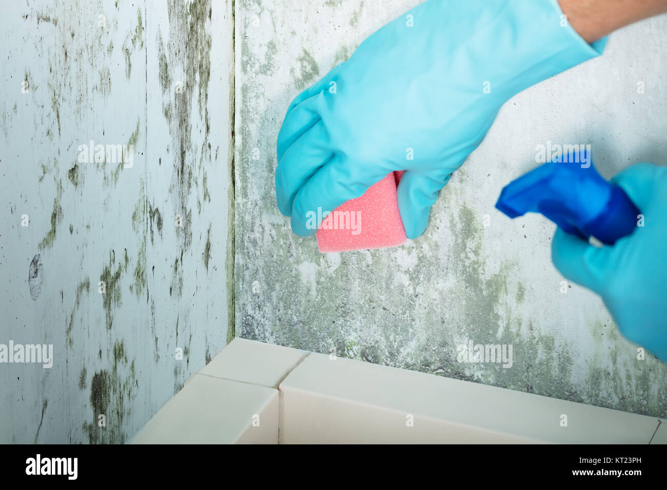 Person Hand Cleaning Moldy Wall Stock Photo - Alamy