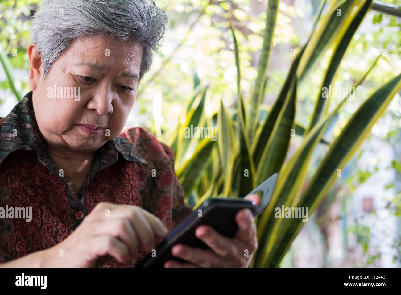 asian elder woman holding mobile phone in garden. elderly female ...