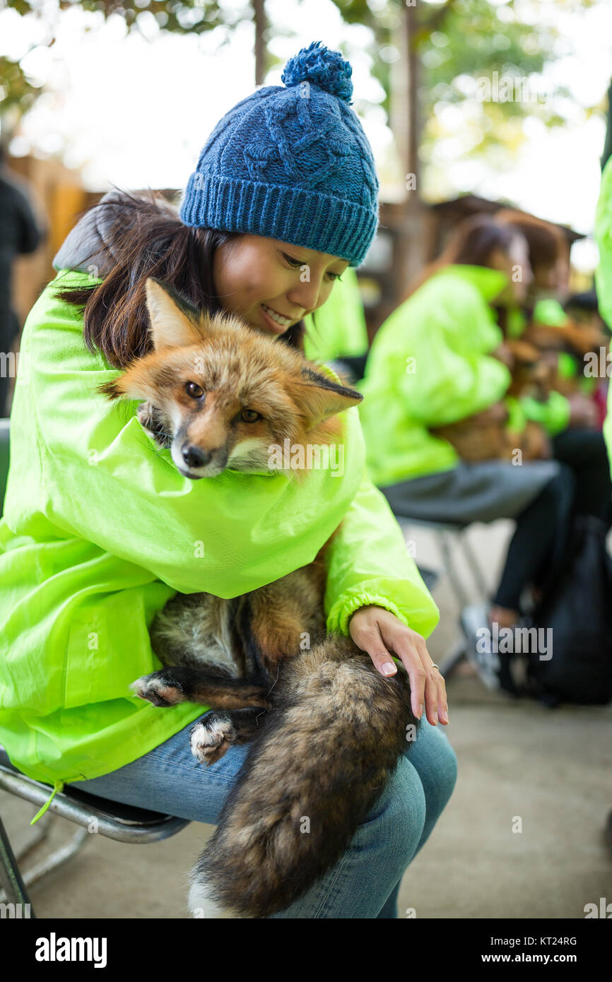 Young woman holding adorable fox Stock Photo - Alamy