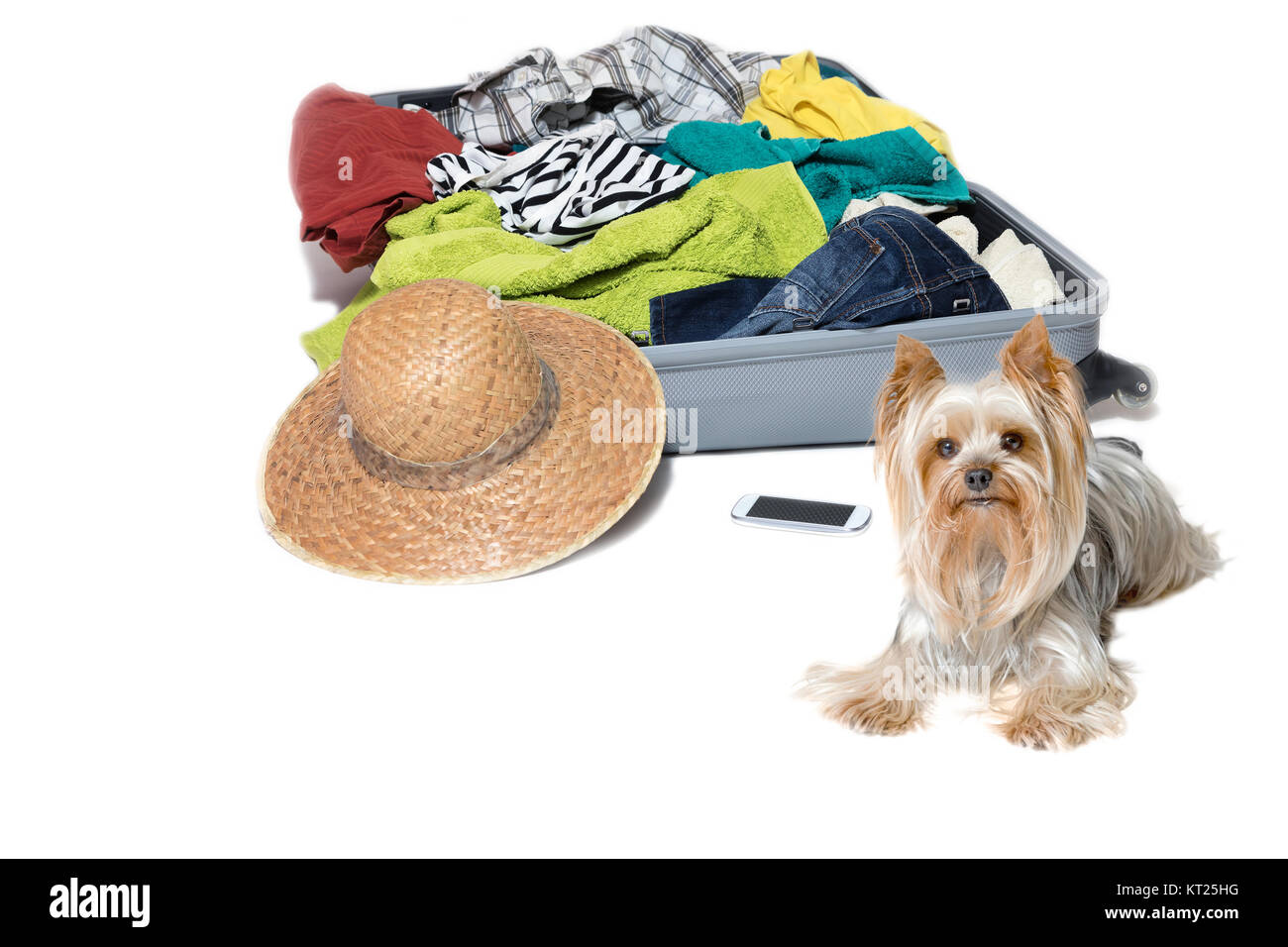 Return from holiday concept Stock Photo - Alamy