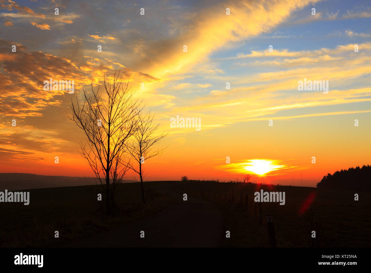 Tree on meadow at sunset with sun .Nature landscape background Stock ...
