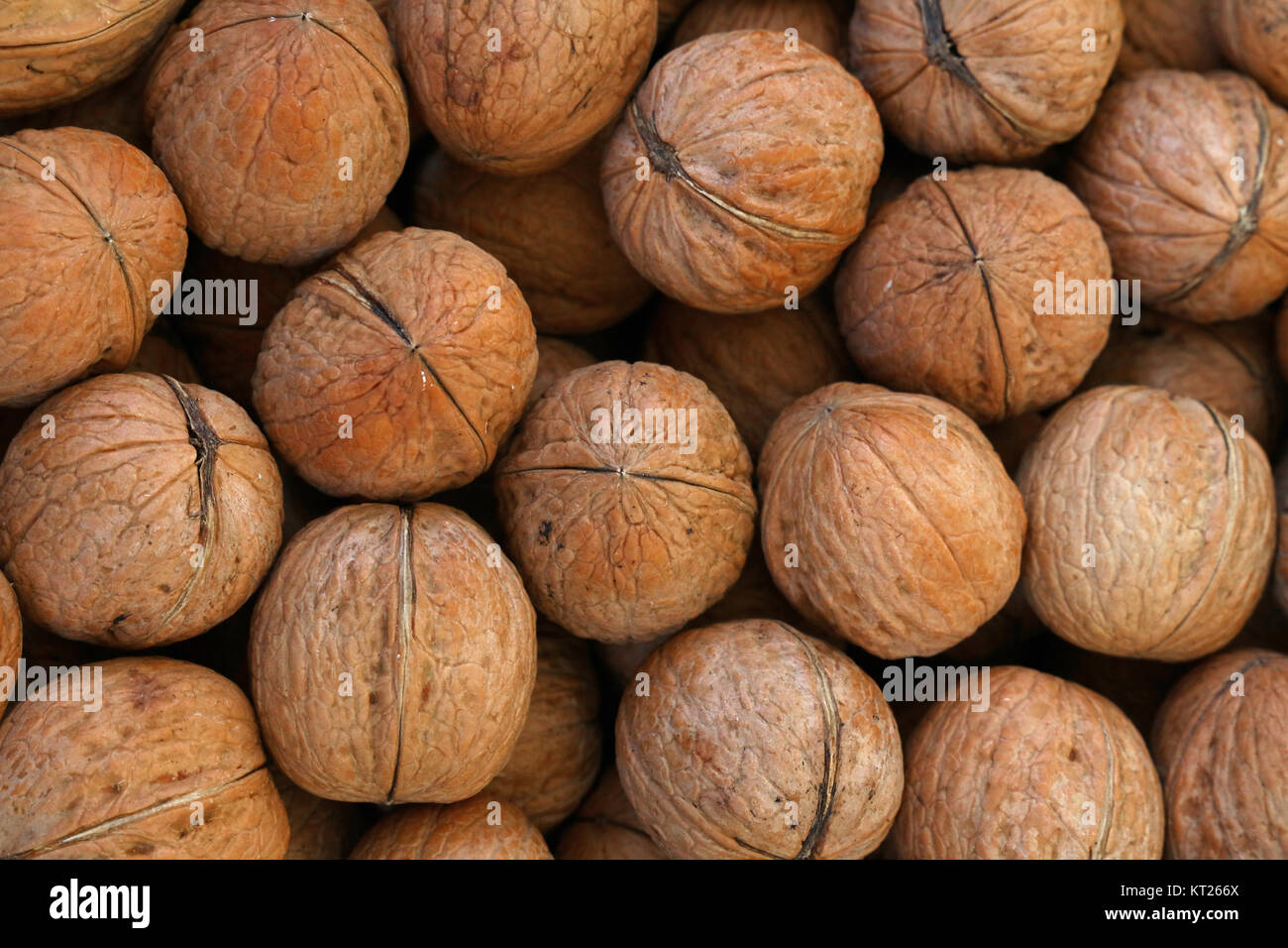 Whole walnuts in nutshells close up Stock Photo - Alamy