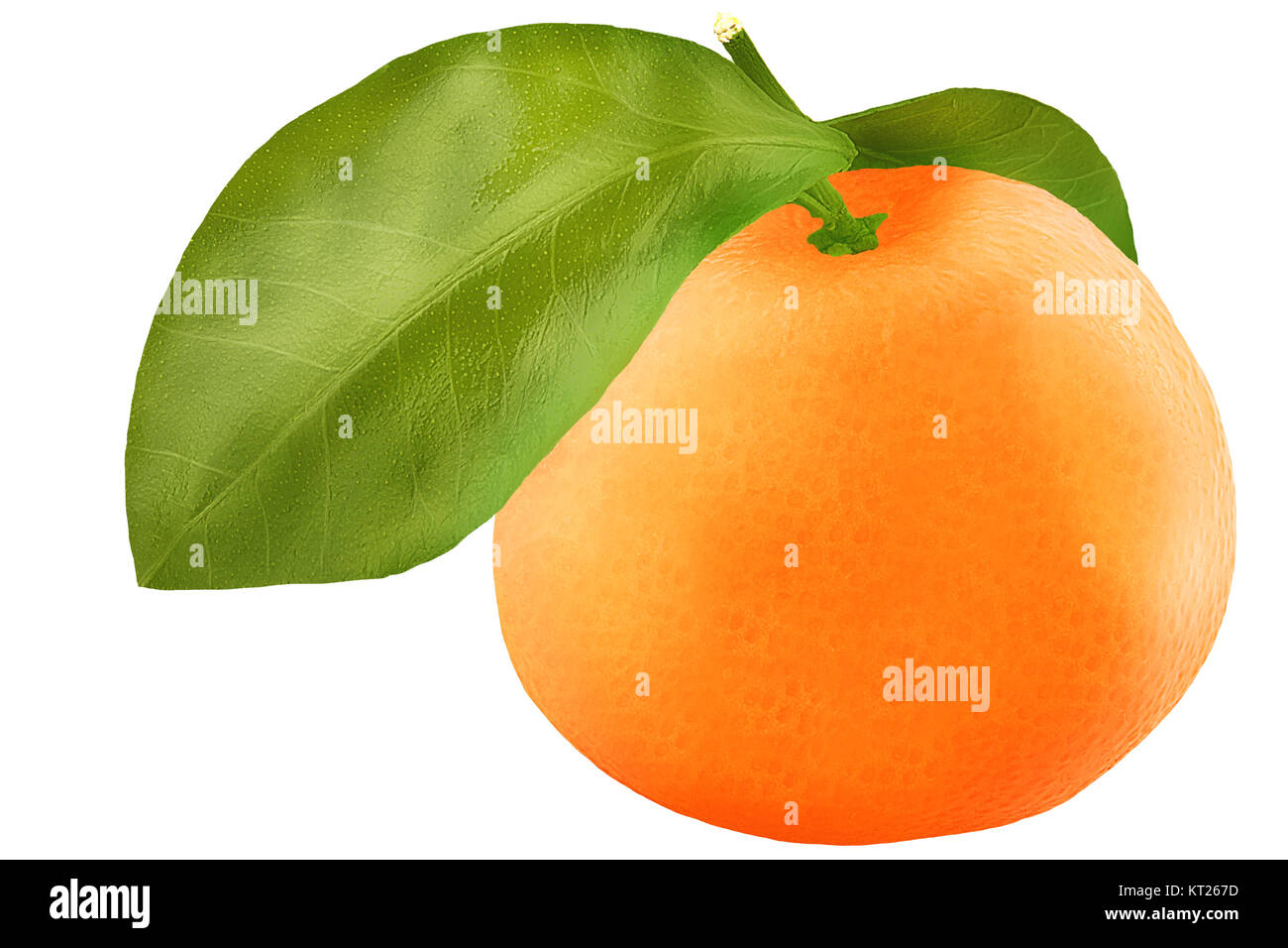 Isolated persimmon. One persimmon fruit over white background with ...
