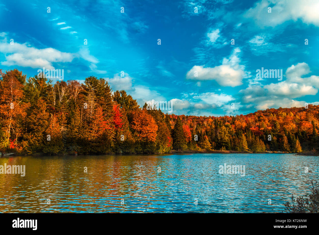 Quebec forest camping hi-res stock photography and images - Alamy