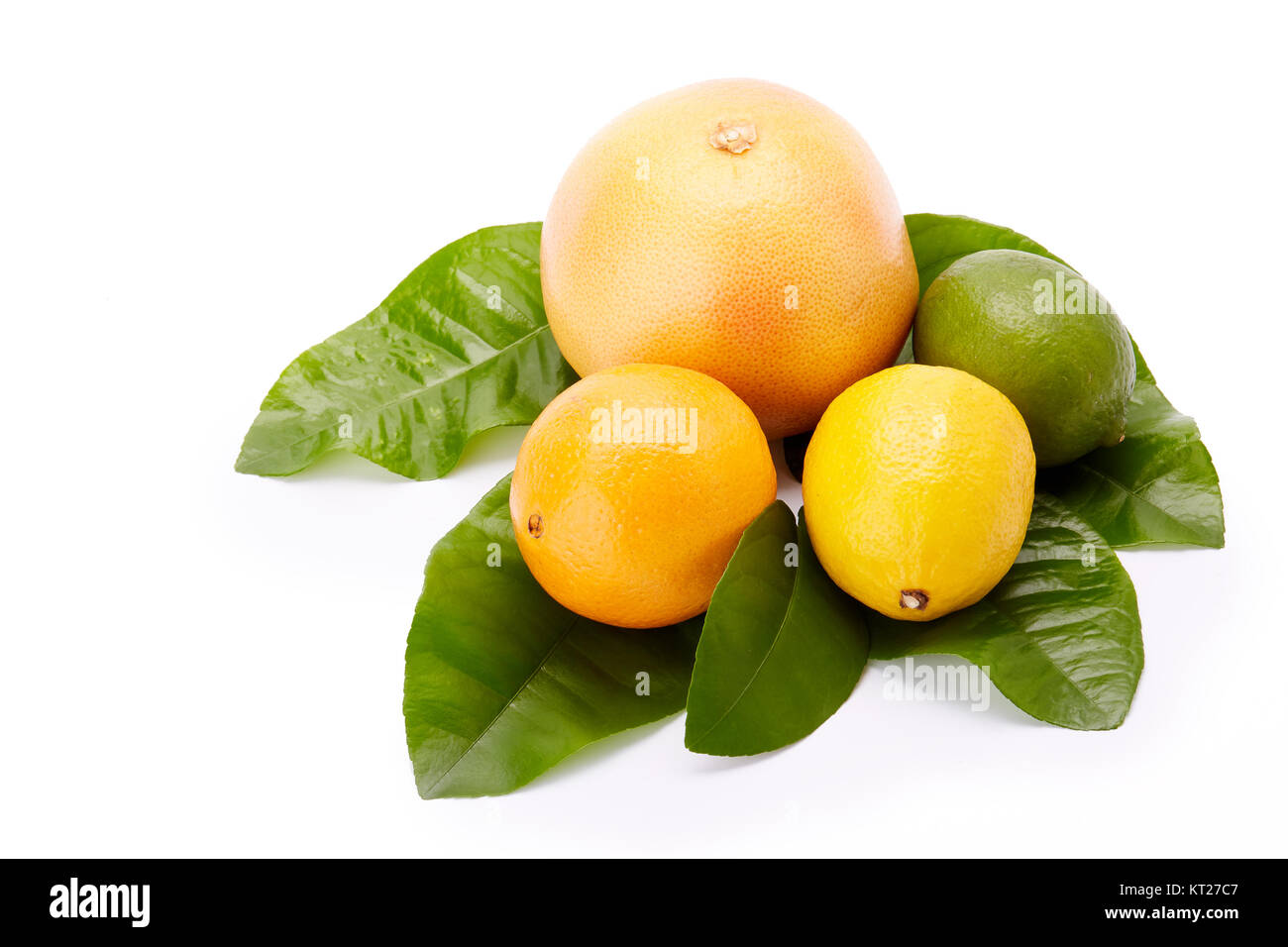 Different ripe citrus fruit Stock Photo - Alamy