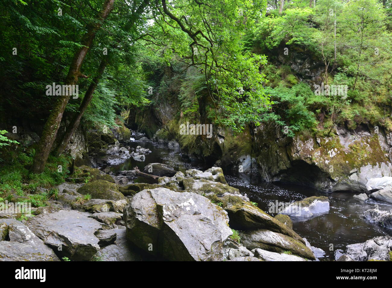 Fairy Glen Gorge, Betws-y-Coed, Conwy Valley, Snowdonia, Wales, UK ...
