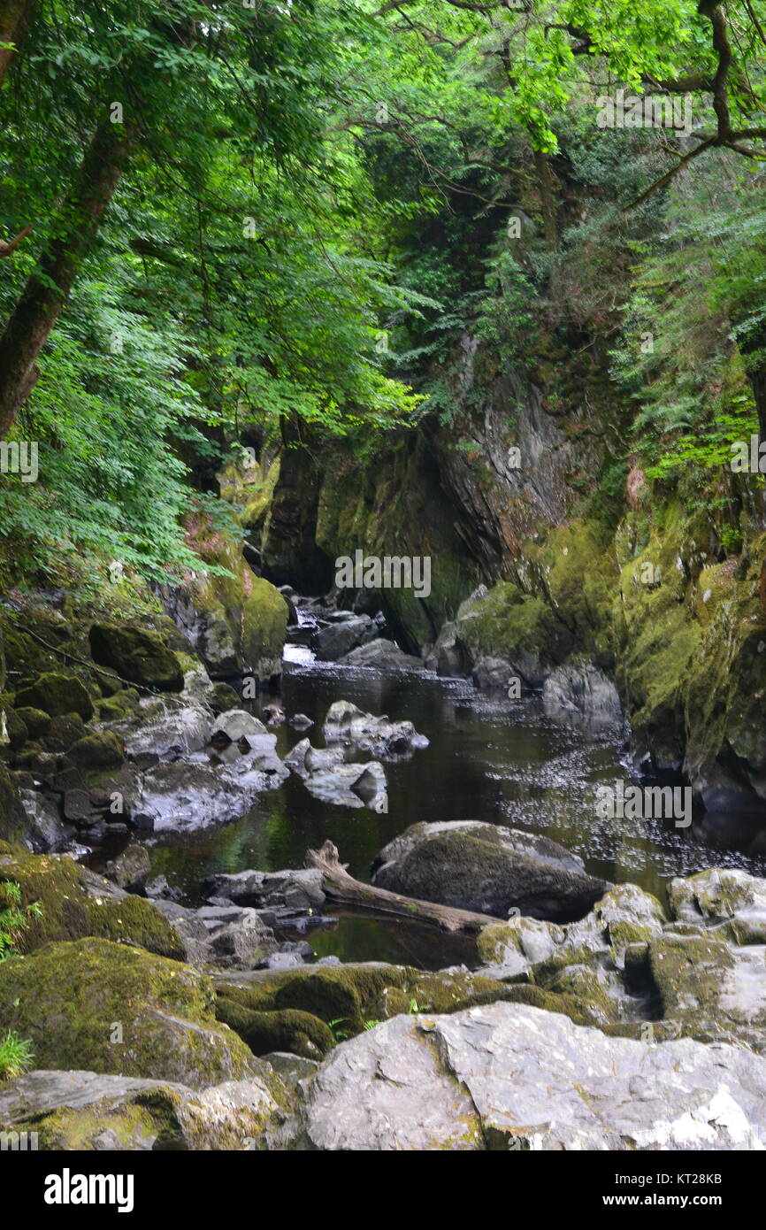 Fairy Glen Gorge, Betws-y-Coed, Conwy Valley, Snowdonia, Wales, UK ...