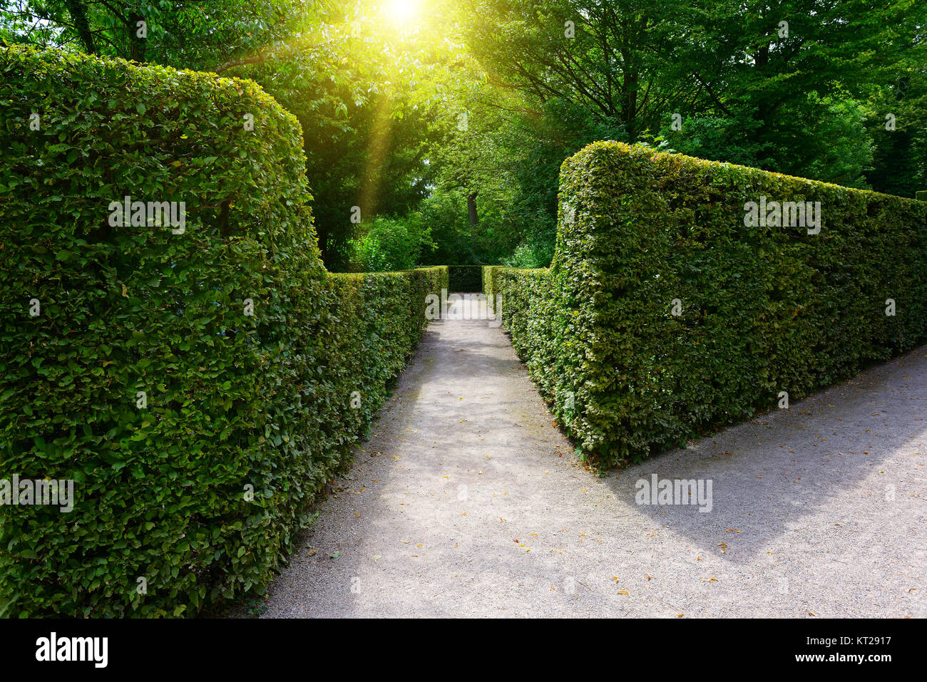 Scenic bright sunrise in the city park in Germany Stock Photo - Alamy