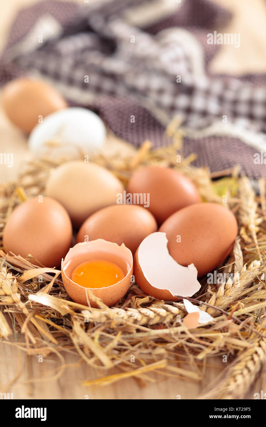 Fresh chicken eggs Stock Photo - Alamy