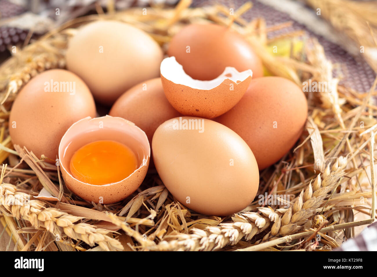 Fresh chicken eggs Stock Photo - Alamy