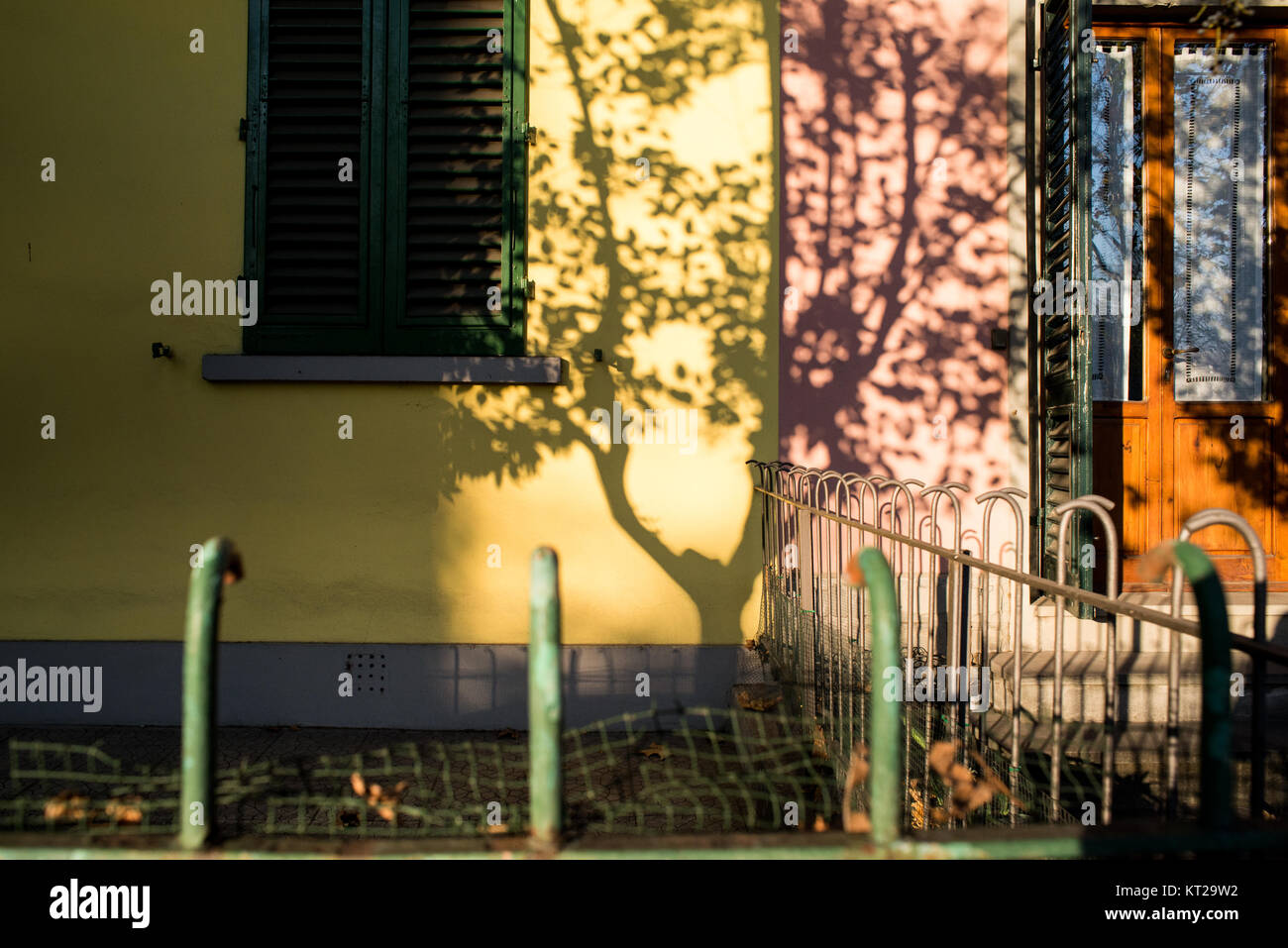 Sunlight casting the shadow of a tree on a house colorful wall Stock ...