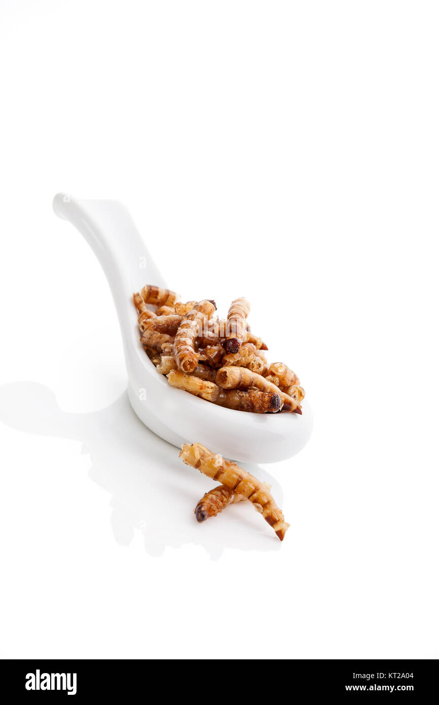 Eats worms and insects Cut Out Stock Images & Pictures - Alamy