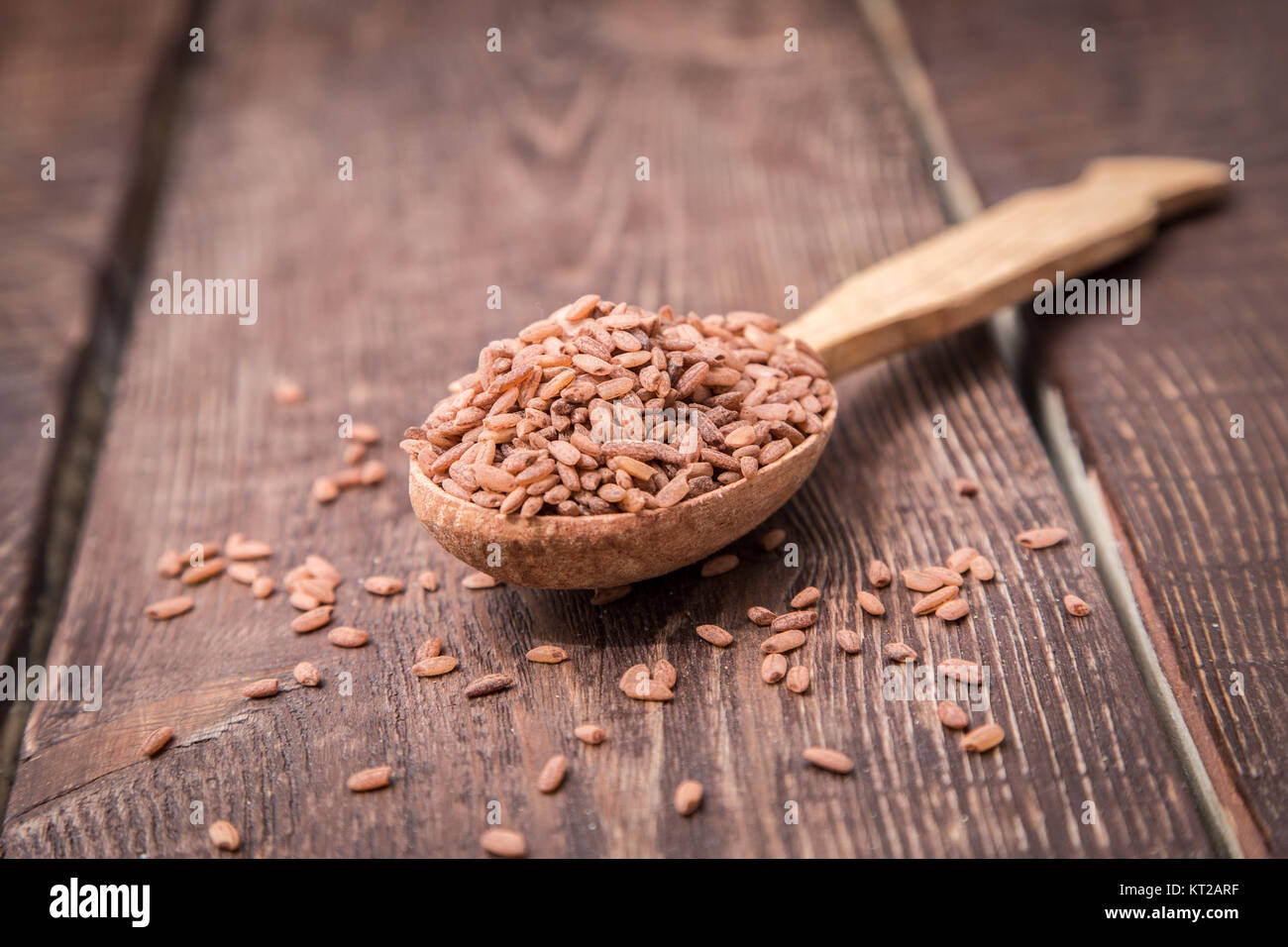 brown grain rice variety devzira. especially for pilaf Stock Photo - Alamy