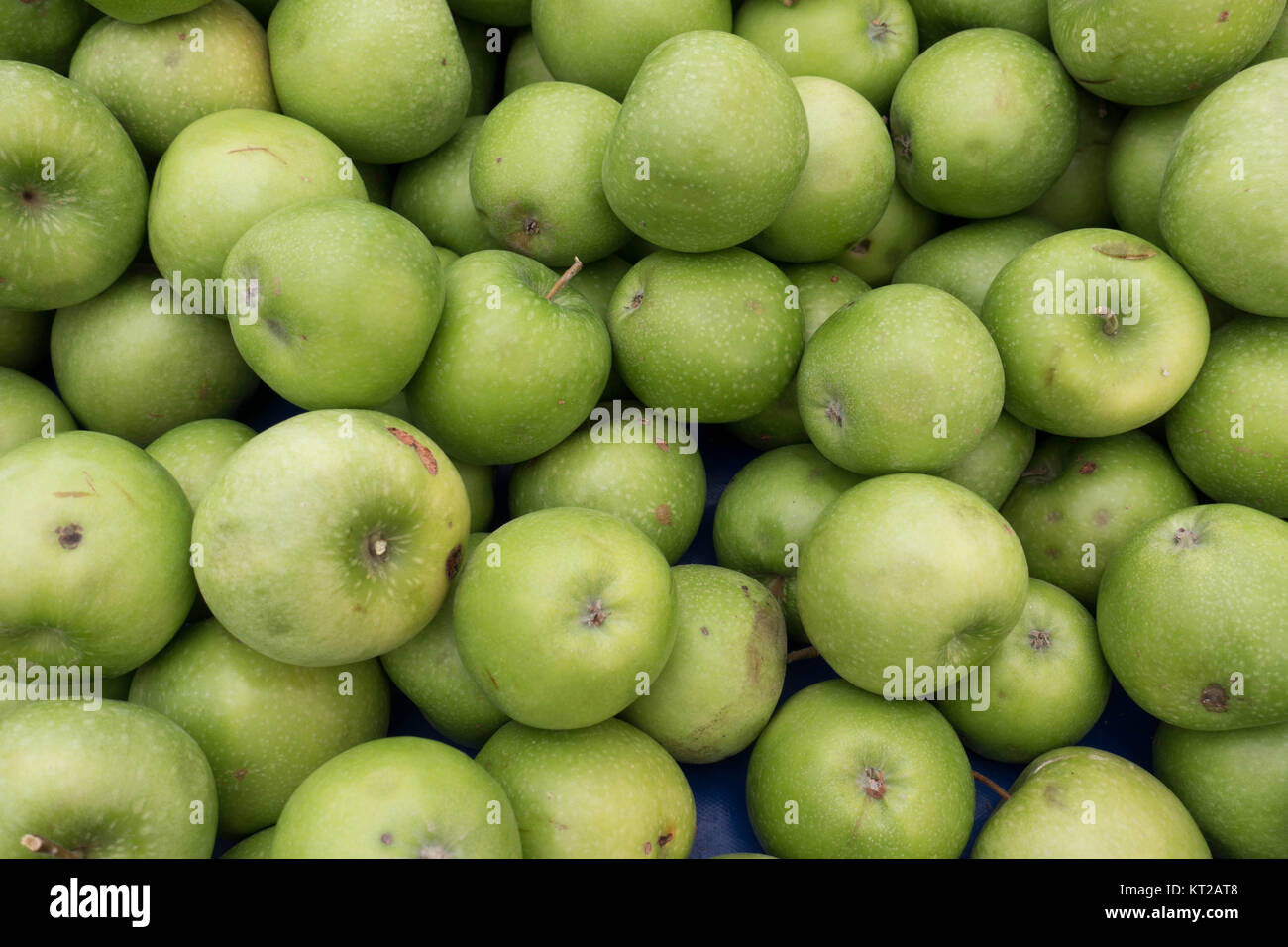 Green Fresh Big Apple in City Market Stock Photo - Alamy