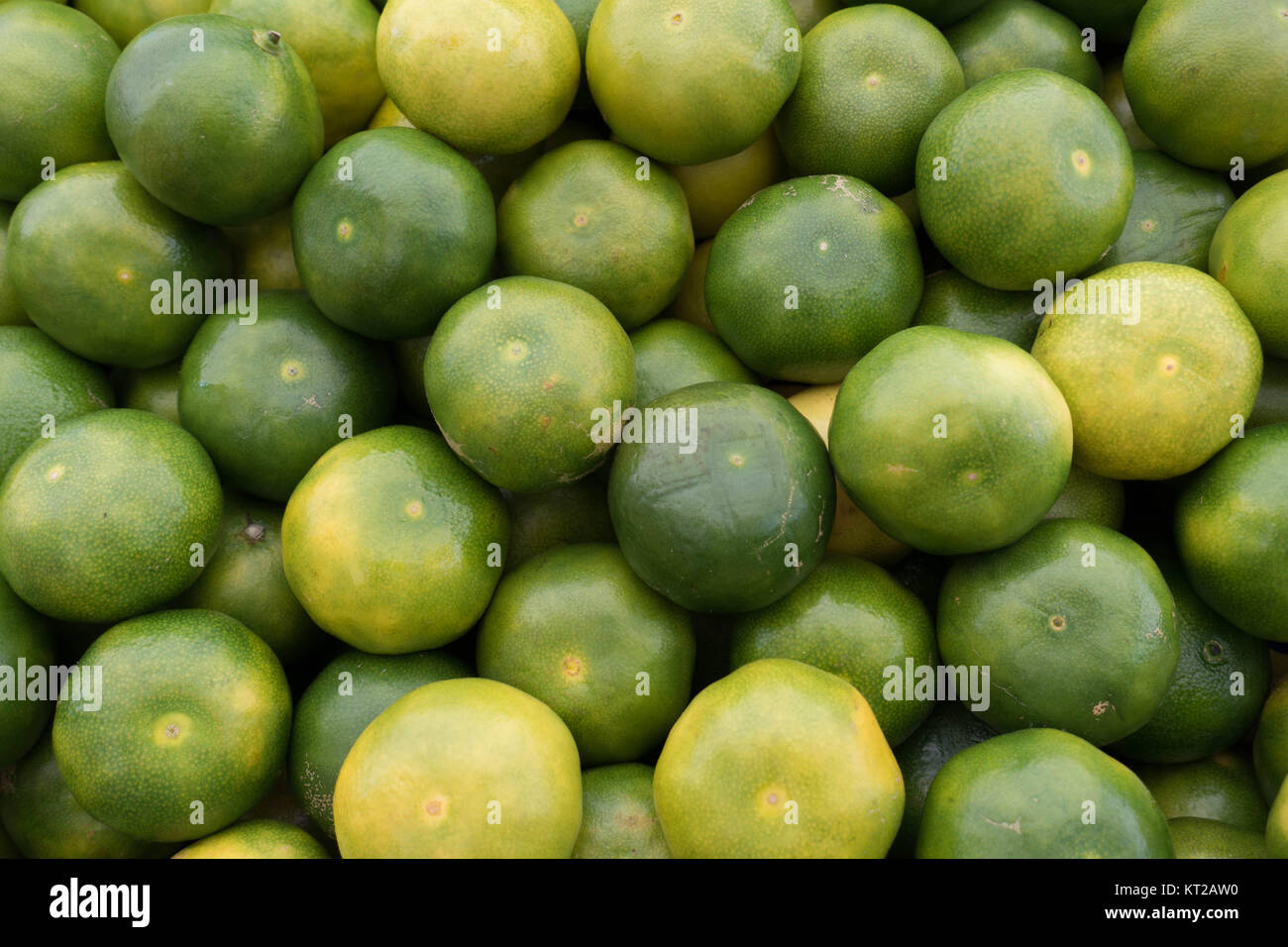Green mandarin hi-res stock photography and images - Alamy
