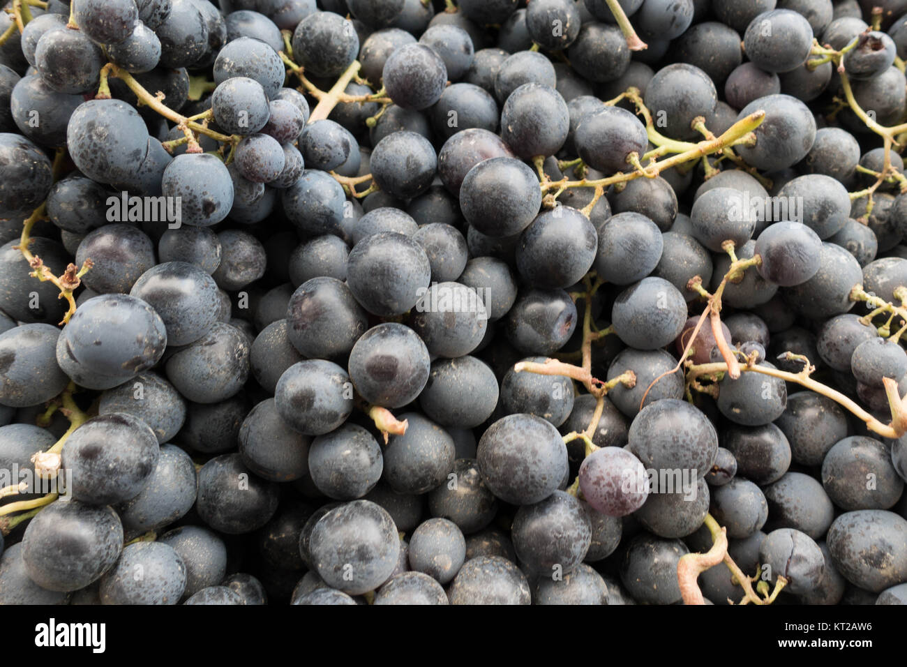 Fresh Red Grapes Heap on Market Stall For Sale Stock Photo - Alamy