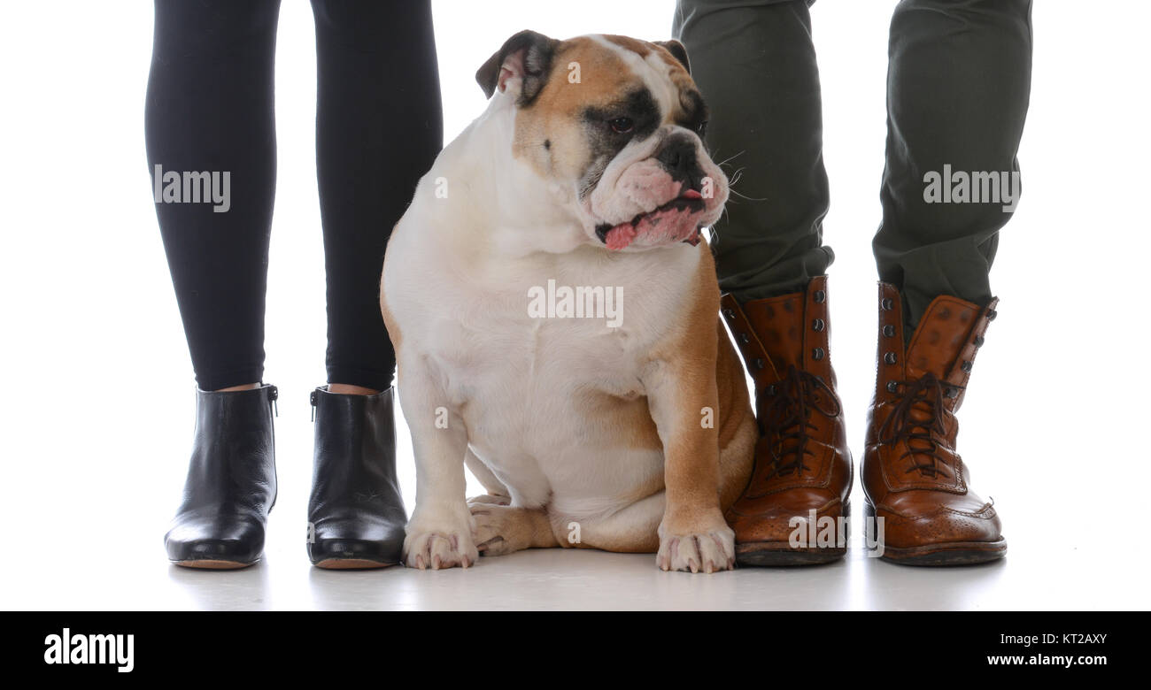husband and wife with their bulldog on white background Stock Photo - Alamy