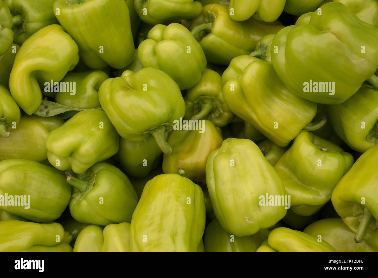 Fresh Green Bell Peppers on Market Stall For Sale Stock Photo - Alamy