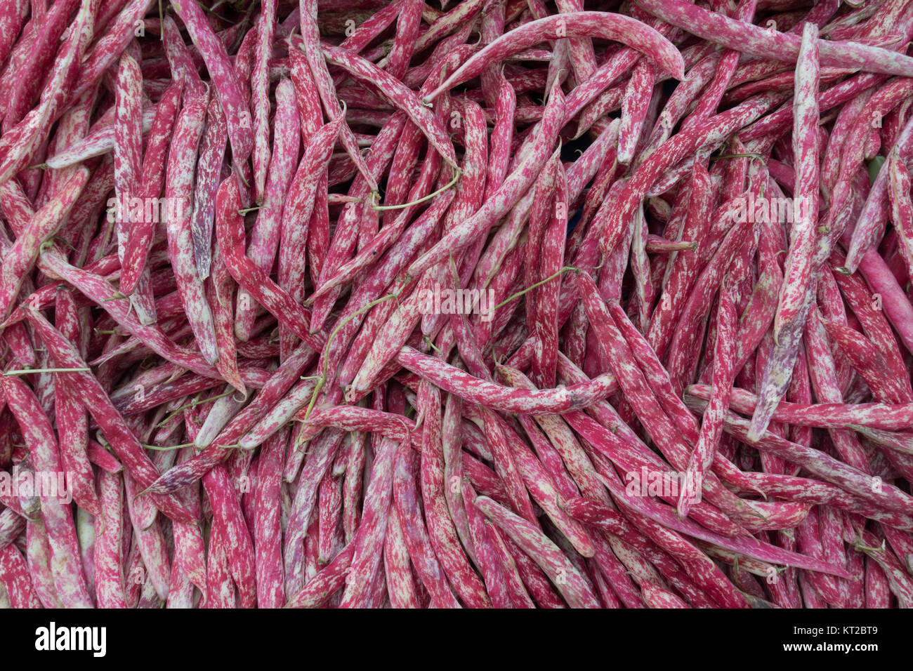Dried romano beans hi-res stock photography and images - Alamy