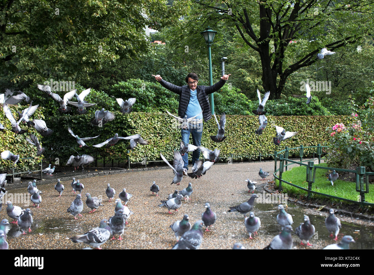 Man pigeon hi-res stock photography and images - Alamy