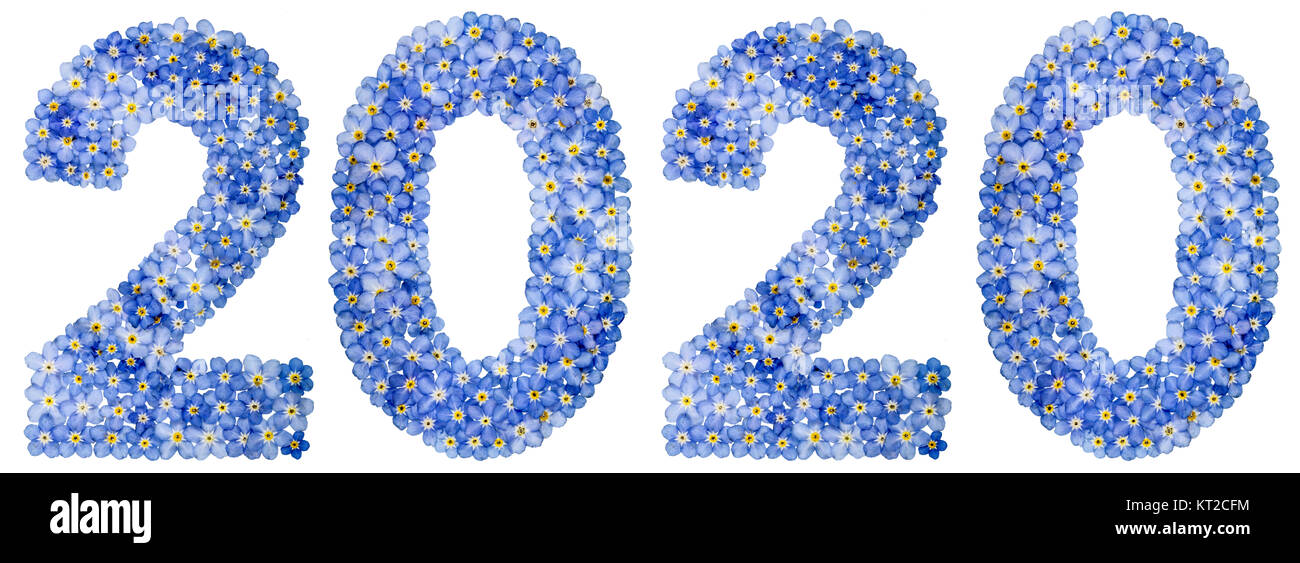 Numeral 2020 from blue forget-me-not flowers, isolated on white ...