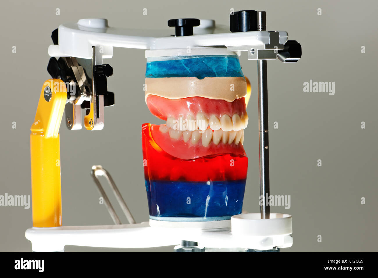 The false grandmother hi-res stock photography and images - Alamy