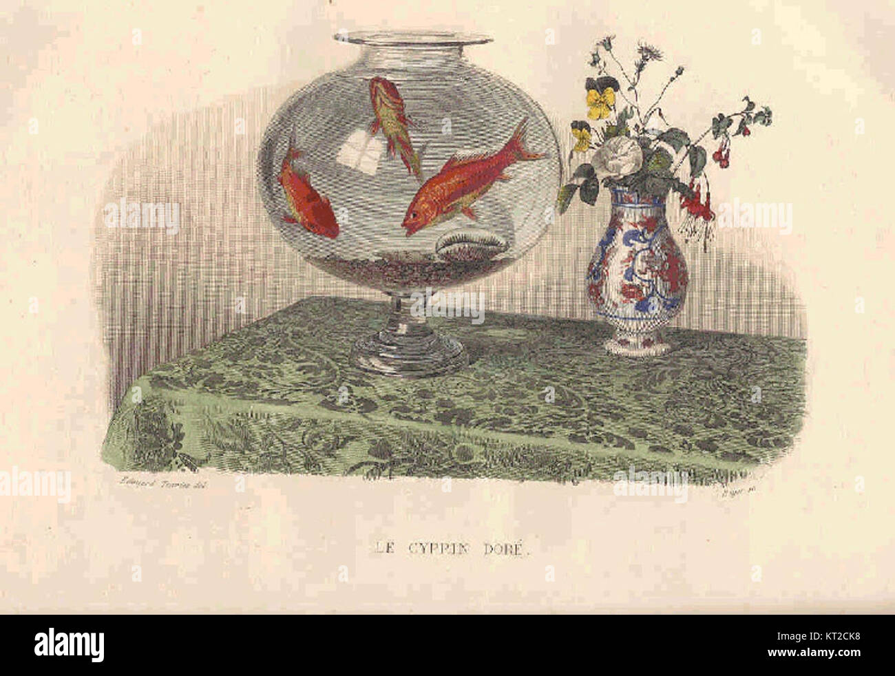 32831 Le Cyprin Dore refers to a specific example of a fish or species ...