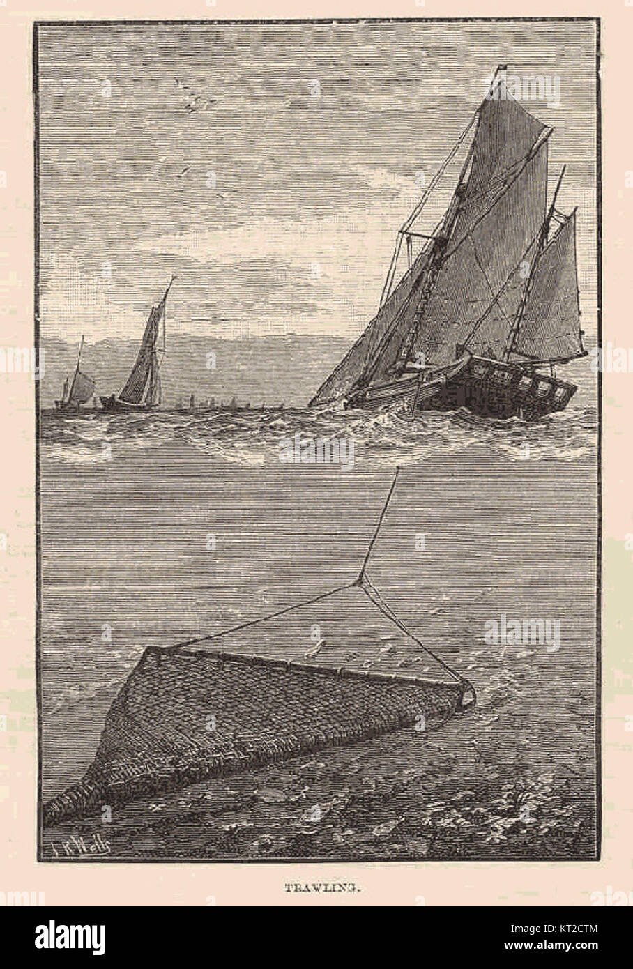 Trawling, a method of fishing that involves dragging a net through the ...