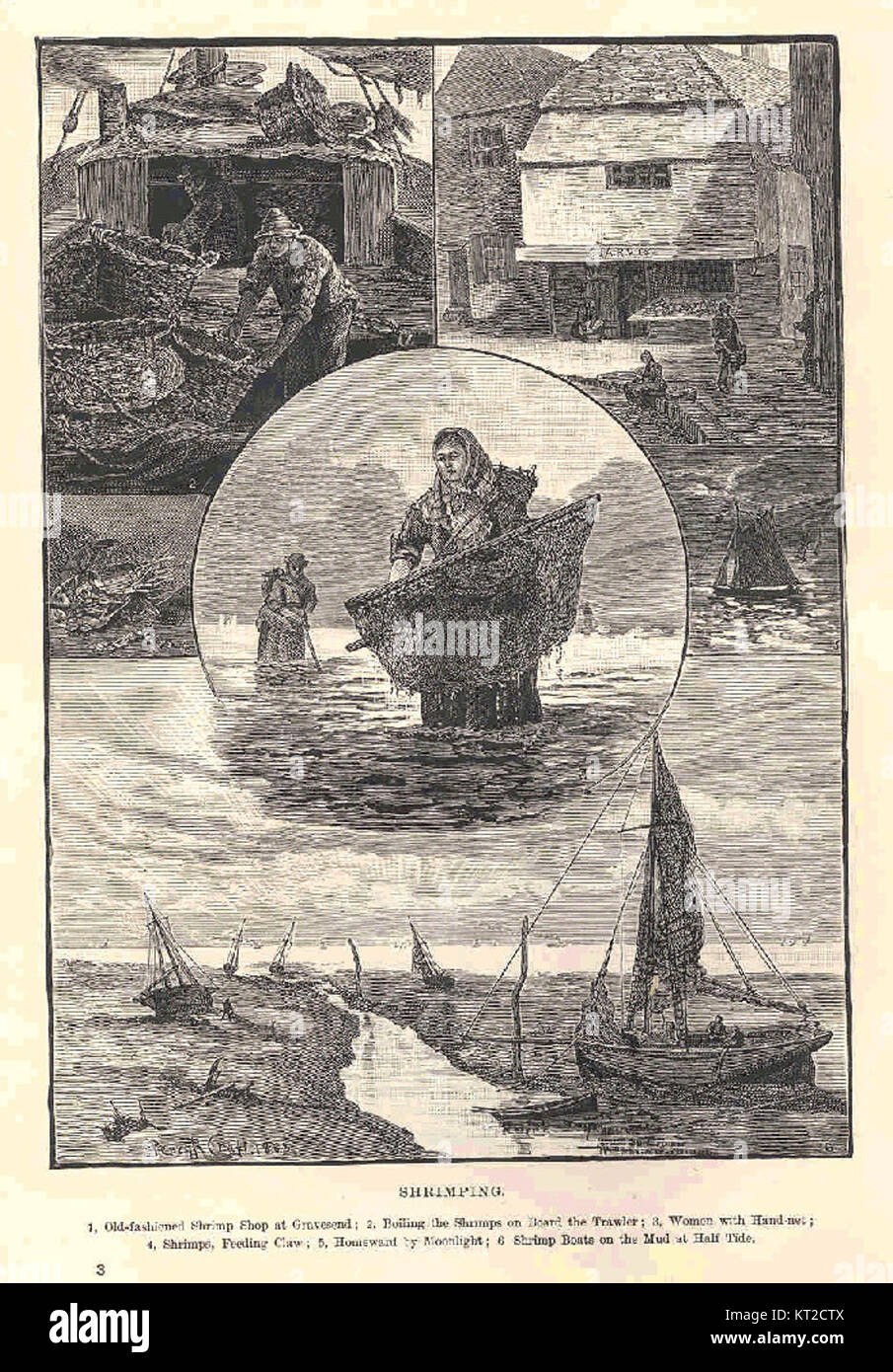 The image depicts the process of shrimping, showing the technique and ...