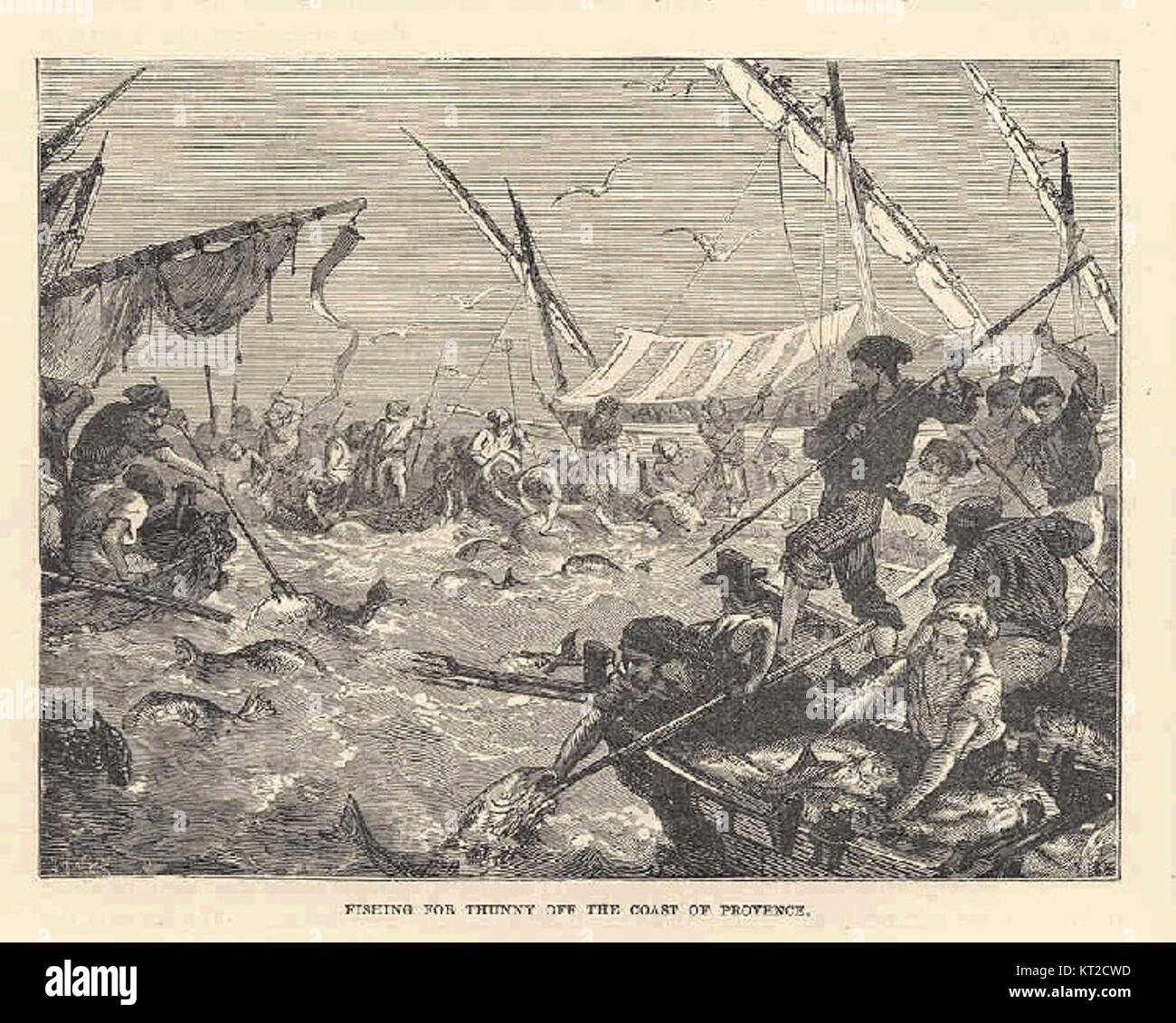 32963 Fishing for Thunny Off the Coast of Provence refers to a fishing ...