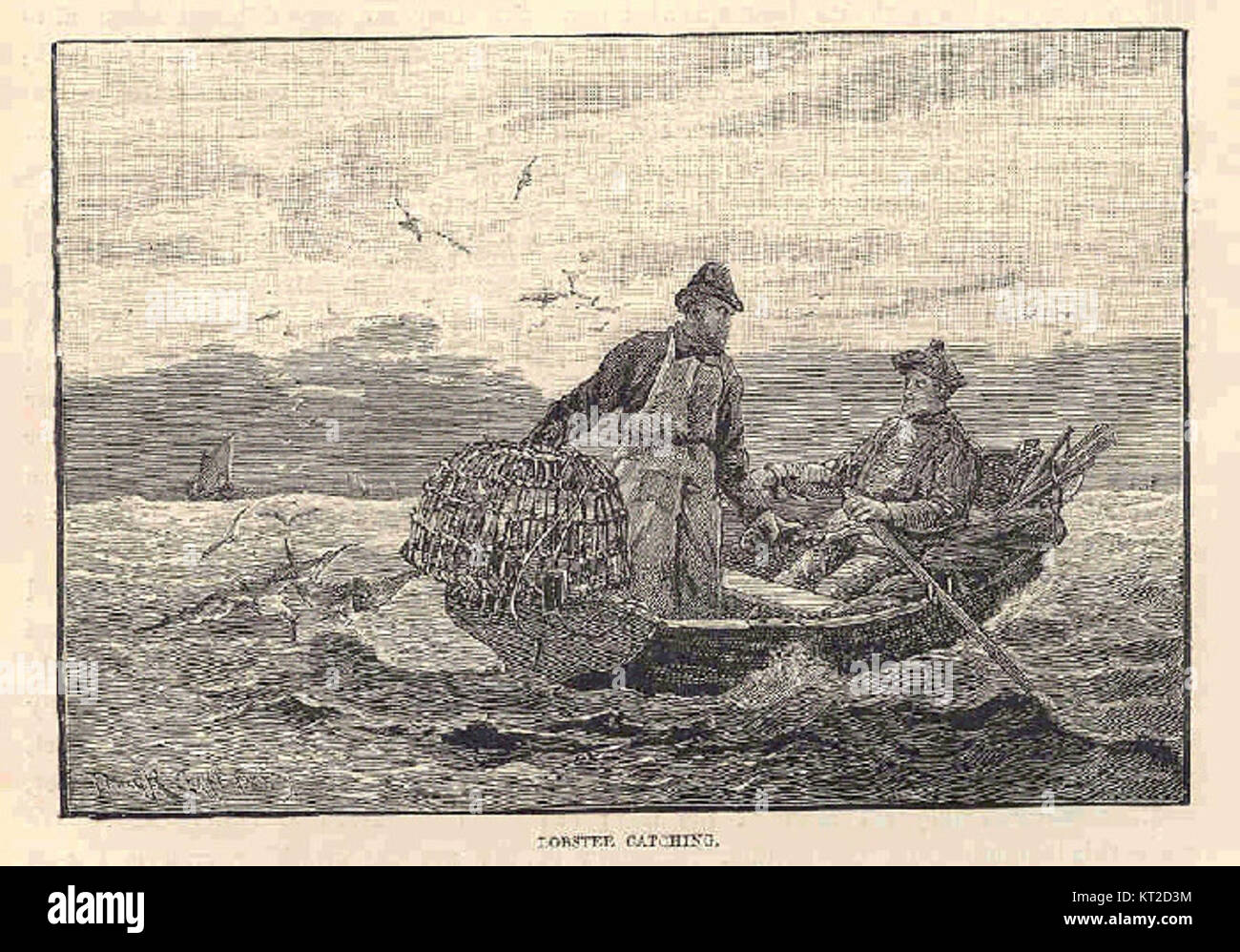 A photograph documenting the process of lobster catching, highlighting ...