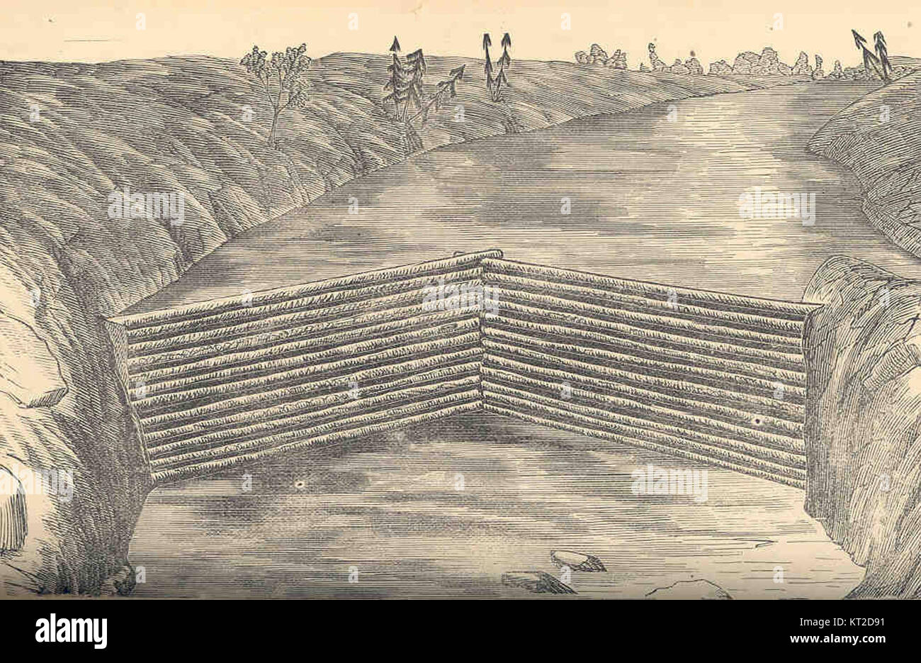 33162 Log Dam for Narrow Streams Stock Photo - Alamy