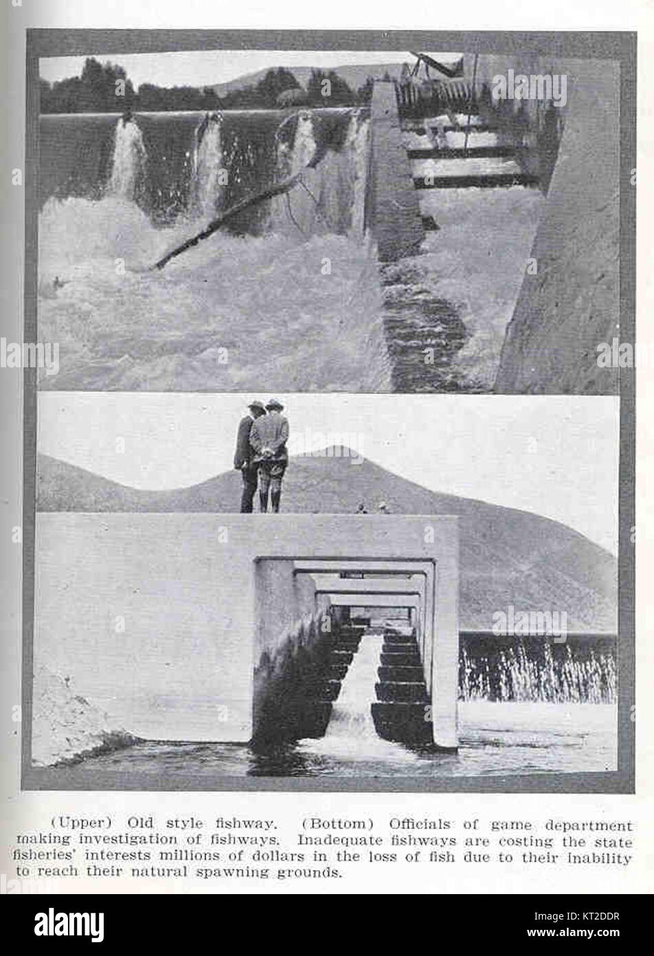 This photograph features an old-style fishway, showing both the ...