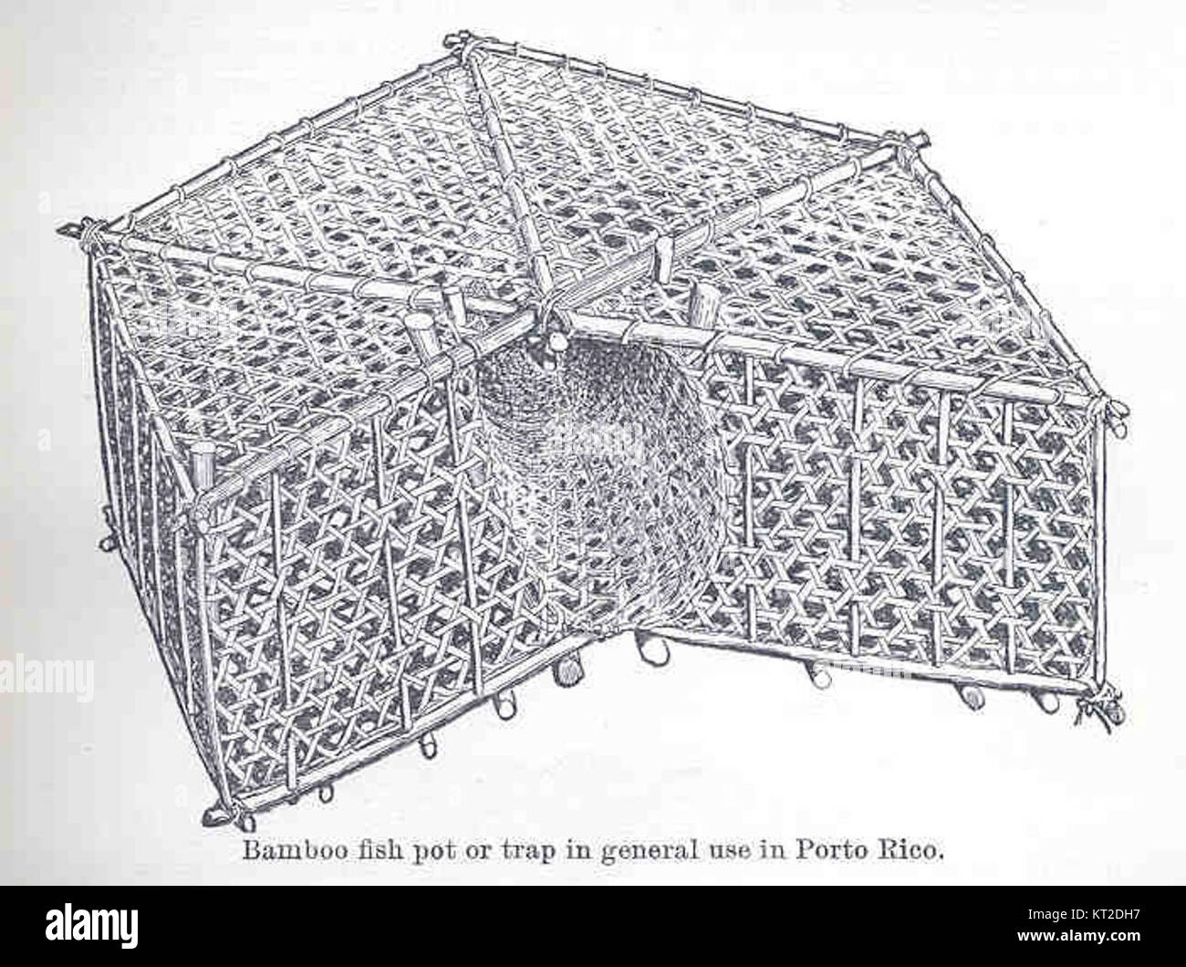 Bamboo pot trap hi-res stock photography and images - Alamy